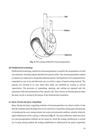 MICROENCAPSULATION PROJECT | PDF