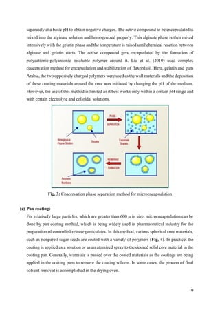 MICROENCAPSULATION PROJECT | PDF