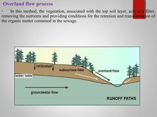 Hariom ppt report | PPT