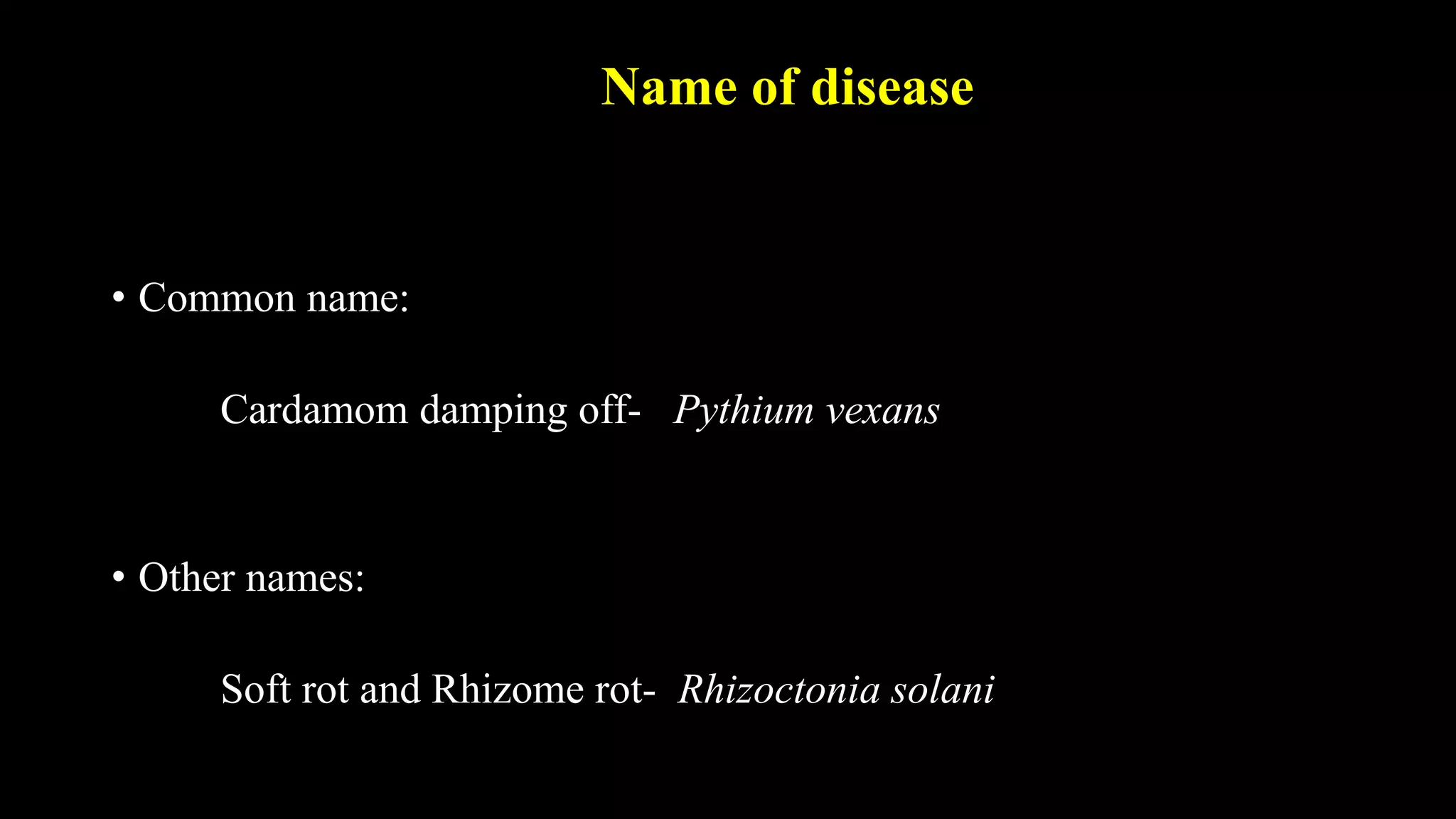 Cardamom Damping off disease | PPTX