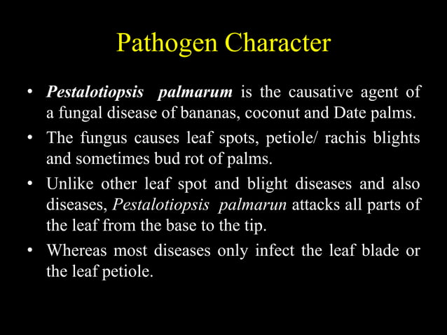 Grey Blight in Horticultural Crops | PPTX | Infectious Diseases ...
