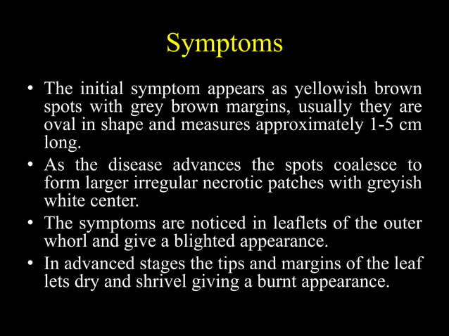 Grey Blight in Horticultural Crops | PPTX | Infectious Diseases ...