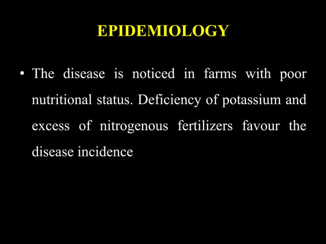 Grey Blight in Horticultural Crops | PPTX | Infectious Diseases ...
