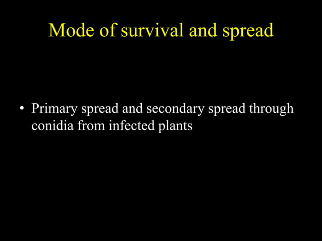 Grey Blight in Horticultural Crops | PPTX | Infectious Diseases ...
