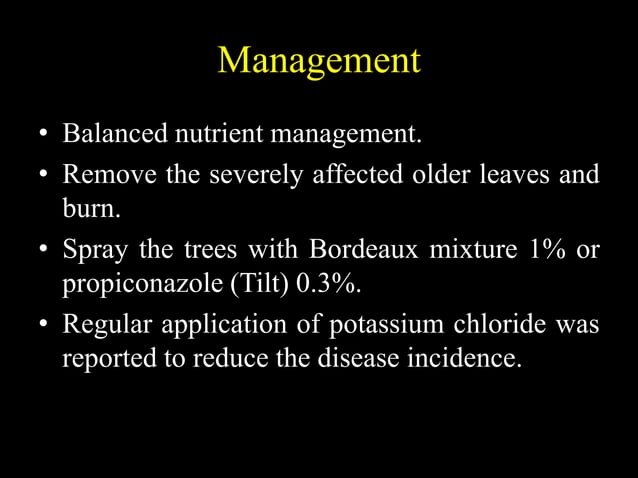 Grey Blight in Horticultural Crops | PPTX | Infectious Diseases ...