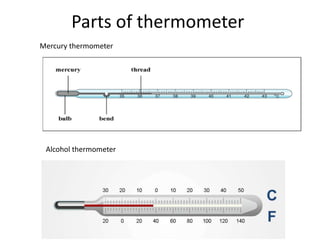 Laboratory Thermometer Labeled