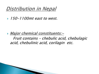 Ayurvedic Pharmacology of Terminalia chebula & its Pharmacognocy | PPTX