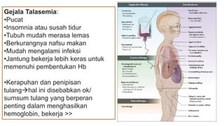 Hari Talasemia dunia 2021.pptxtalasemiaday | PPTX