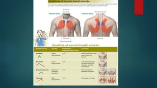 breathing sound | PPT