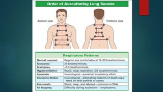 breathing sound | PPT