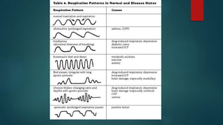 breathing sound | PPT