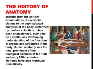 history of anatomy | PPT