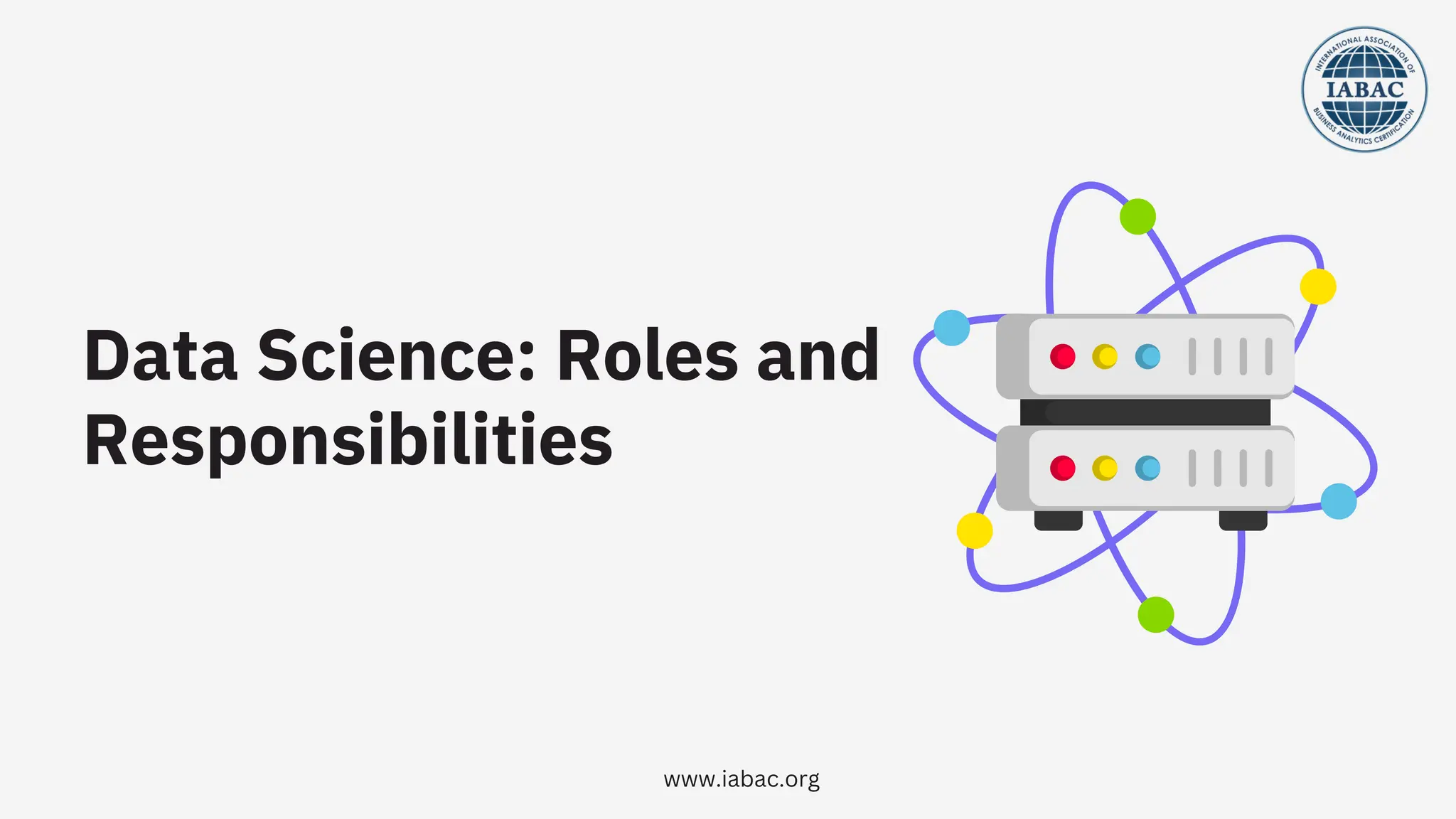 Data Science_ Roles and Responsibilities | IABAC | PDF