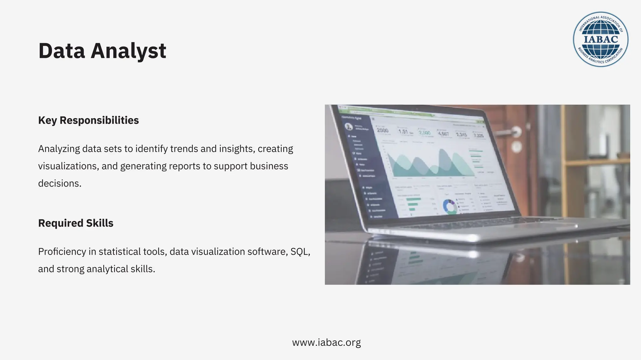 Data Science_ Roles and Responsibilities | IABAC | PDF