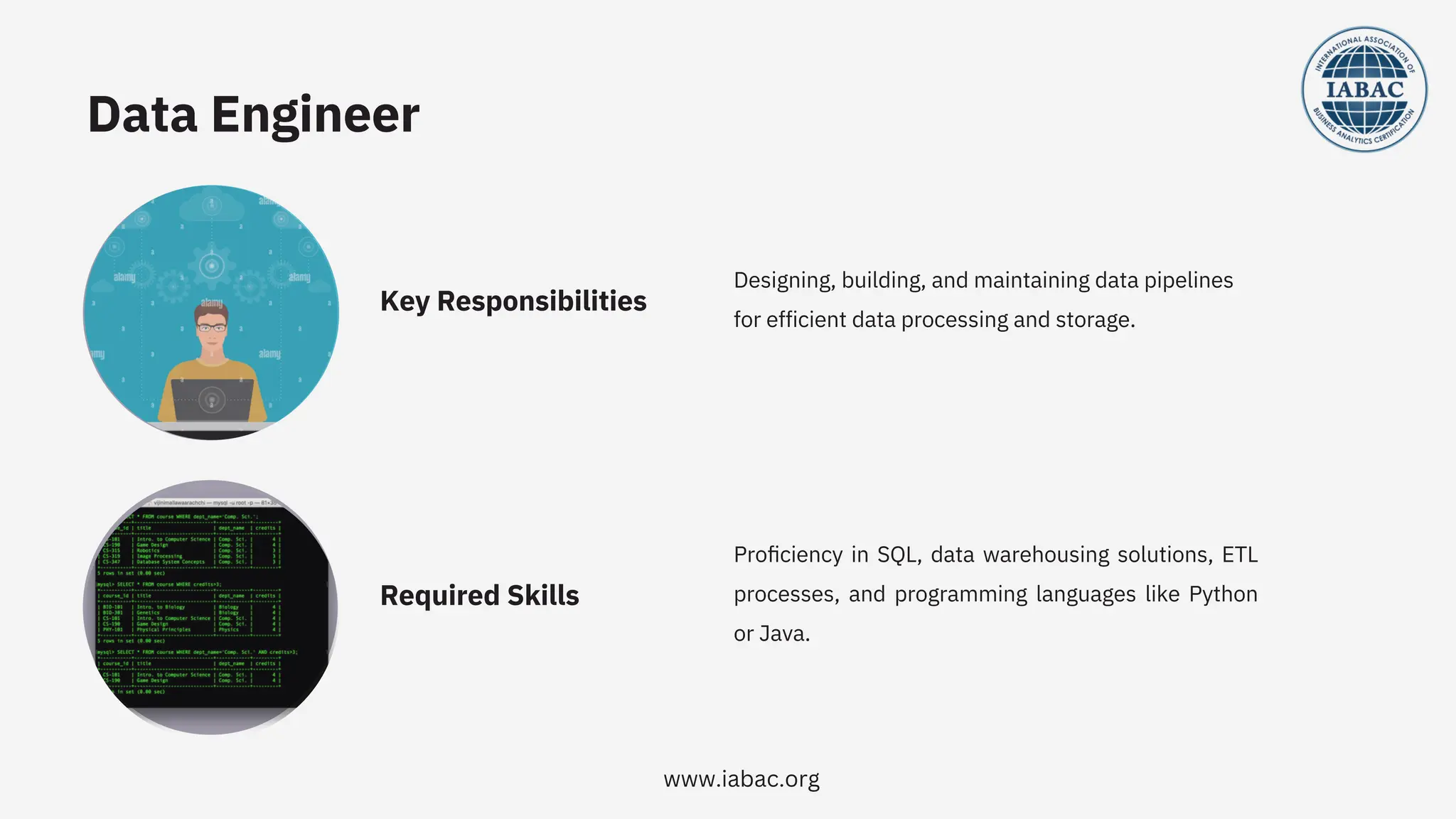 Data Science_ Roles and Responsibilities | IABAC | PDF