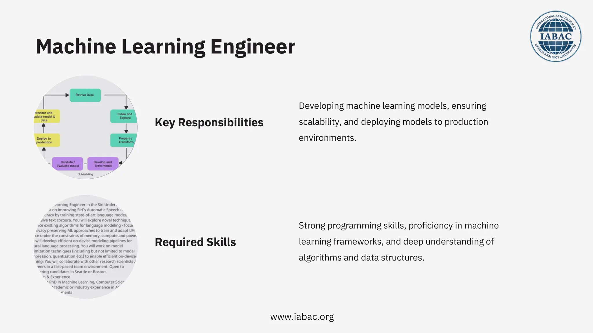 Data Science_ Roles and Responsibilities | IABAC | PDF