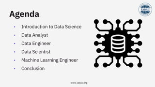 Data Science_ Roles and Responsibilities | IABAC | PDF