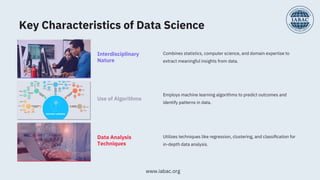 Difference Between Big Data and Data Science | IABAC | PDF