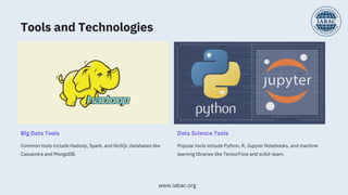 Difference Between Big Data and Data Science | IABAC | PDF