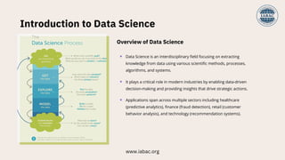 Understanding the Step-by-Step Data Science Process for Beginners | IABAC | PDF