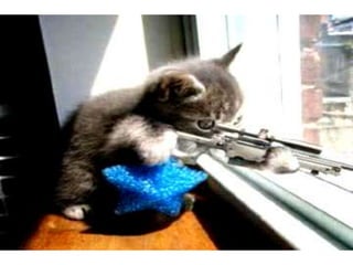 naljakad pildid | PPTX