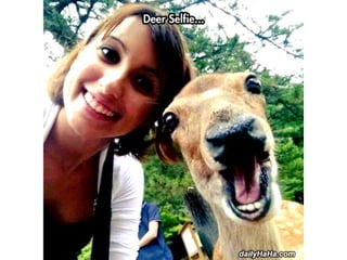 naljakad pildid | PPTX