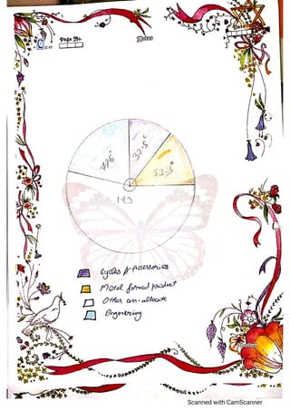 specific accountancy project file | PDF