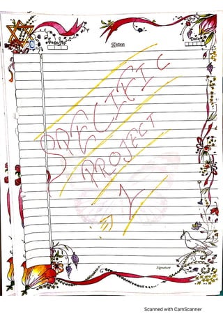 specific accountancy project file | PDF