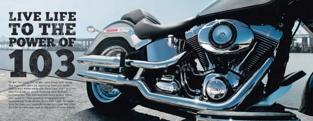 Harley Davidson India Motorcycles Brochure | PDF