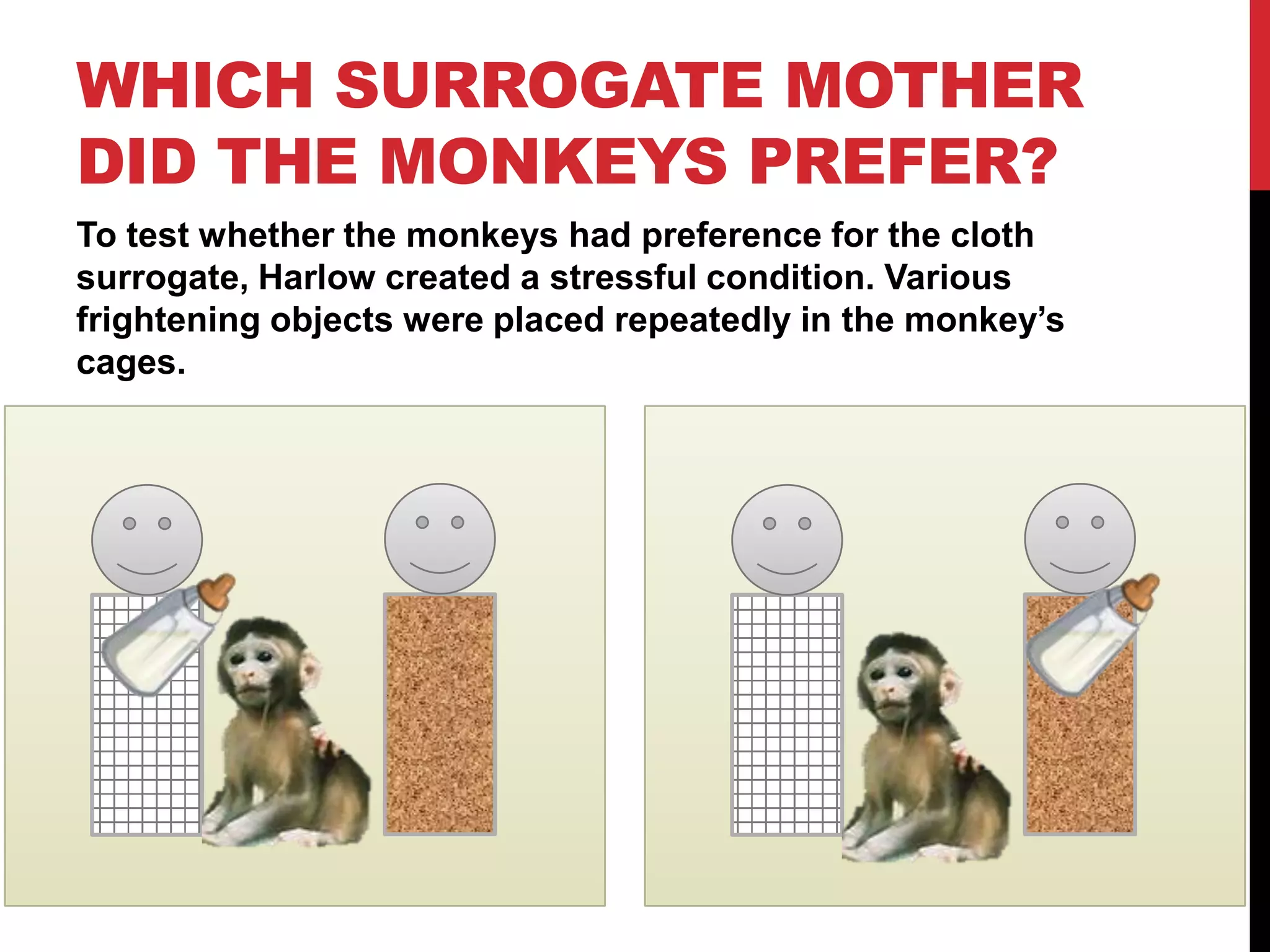 Psychology: Harlow’s experiments on attachment in monkeys. by Janice ...
