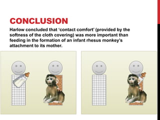Psychology: Harlow’s experiments on attachment in monkeys. by Janice ...