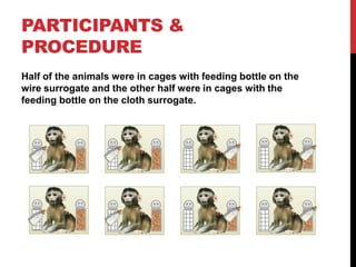 Psychology: Harlow’s experiments on attachment in monkeys. by Janice ...