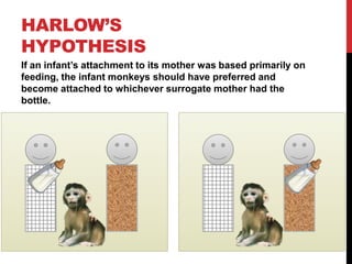 Psychology: Harlow’s experiments on attachment in monkeys. by Janice ...