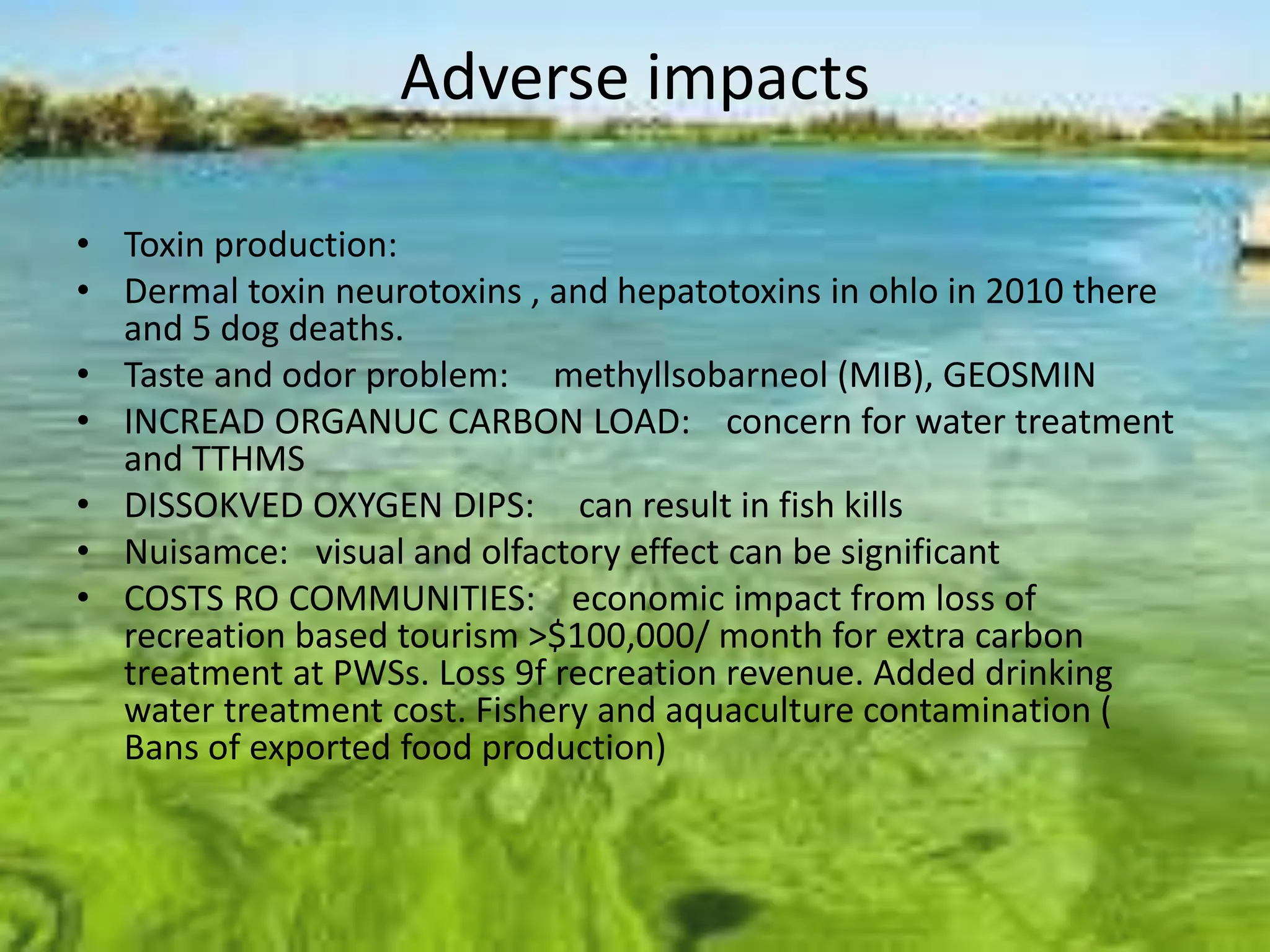 Harmful algal blooms | PPTX