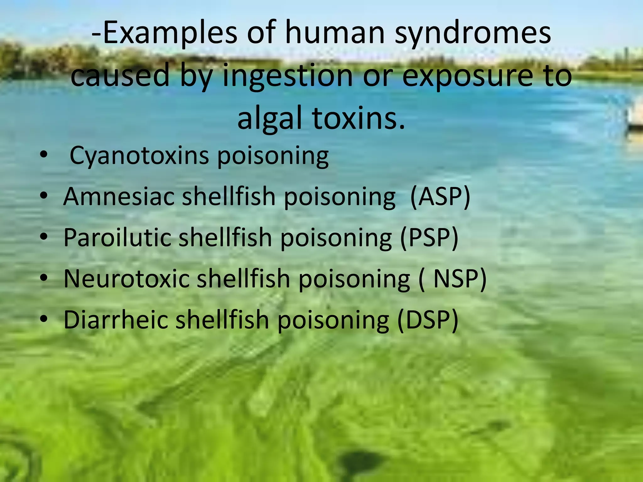 Harmful algal blooms | PPTX