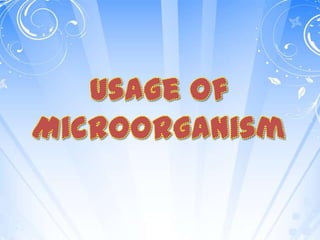 Harmful and useful of microorganism | PPTX