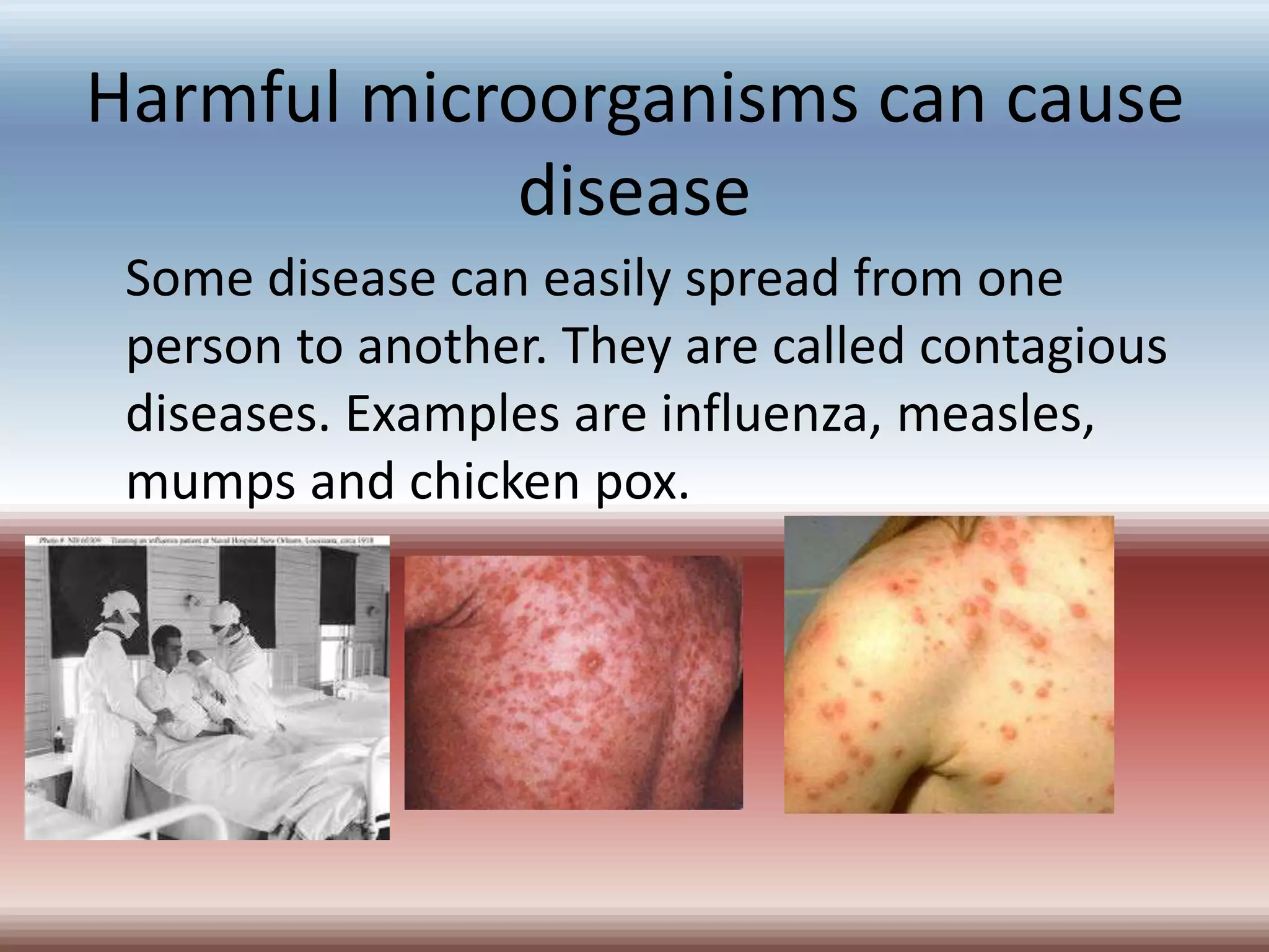 Microorganism ppt | PPTX