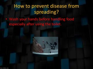 Microorganism ppt | PPTX