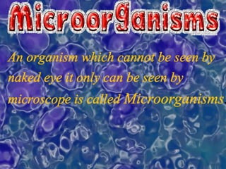 Microorganism ppt | PPT