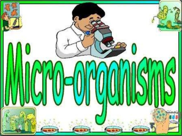 Microorganism ppt
