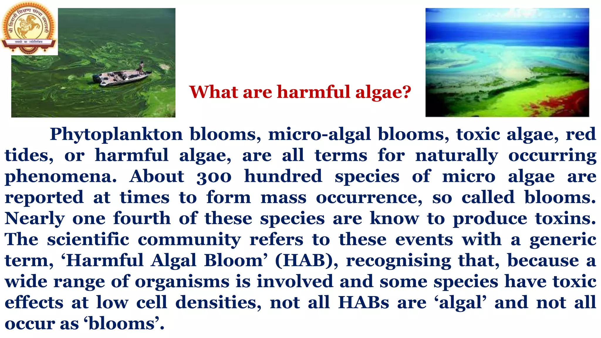 Harmful Aspects of Algae | PPTX