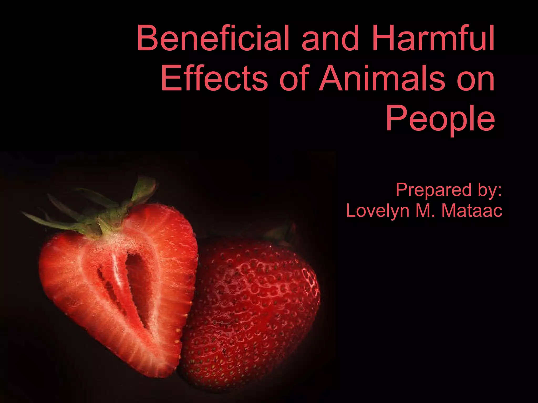 Harmful&Beneficial Effect Of Animals Grade 4 | PPS