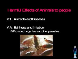 Harmful&Beneficial Effect Of Animals Grade 4 | PPS