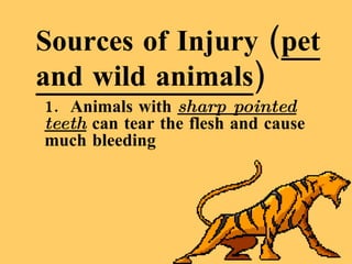 Harmful Effects Of Animals And Conserving Animals | PPS