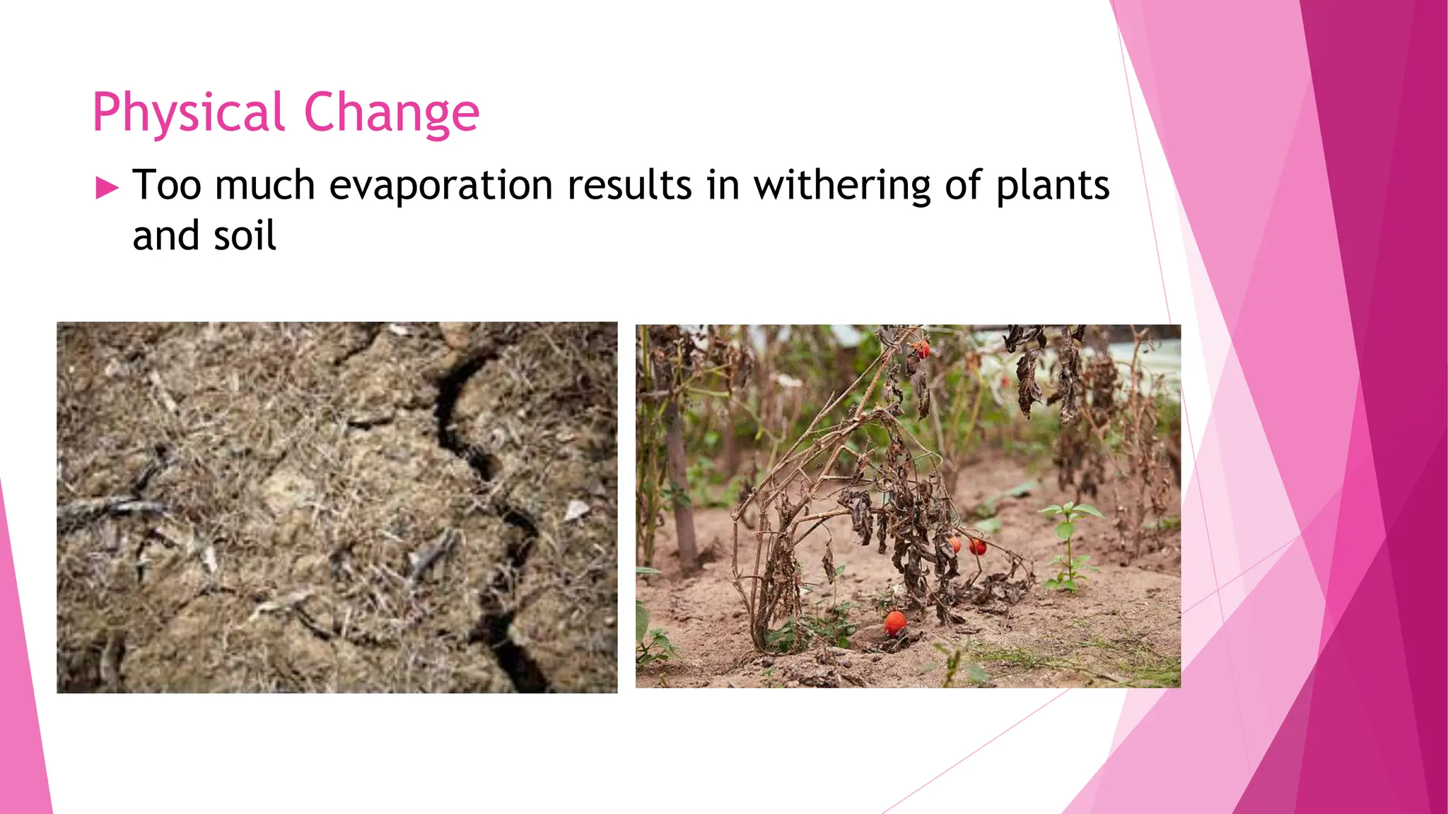 HARMFUL EFFECTS OF CHANGES IN THE ENVIRONMENT.pptx | Chemistry | Science
