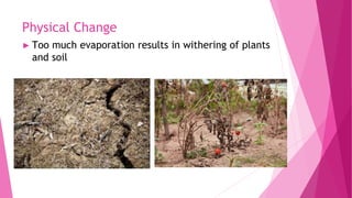 HARMFUL EFFECTS OF CHANGES IN THE ENVIRONMENT.pptx