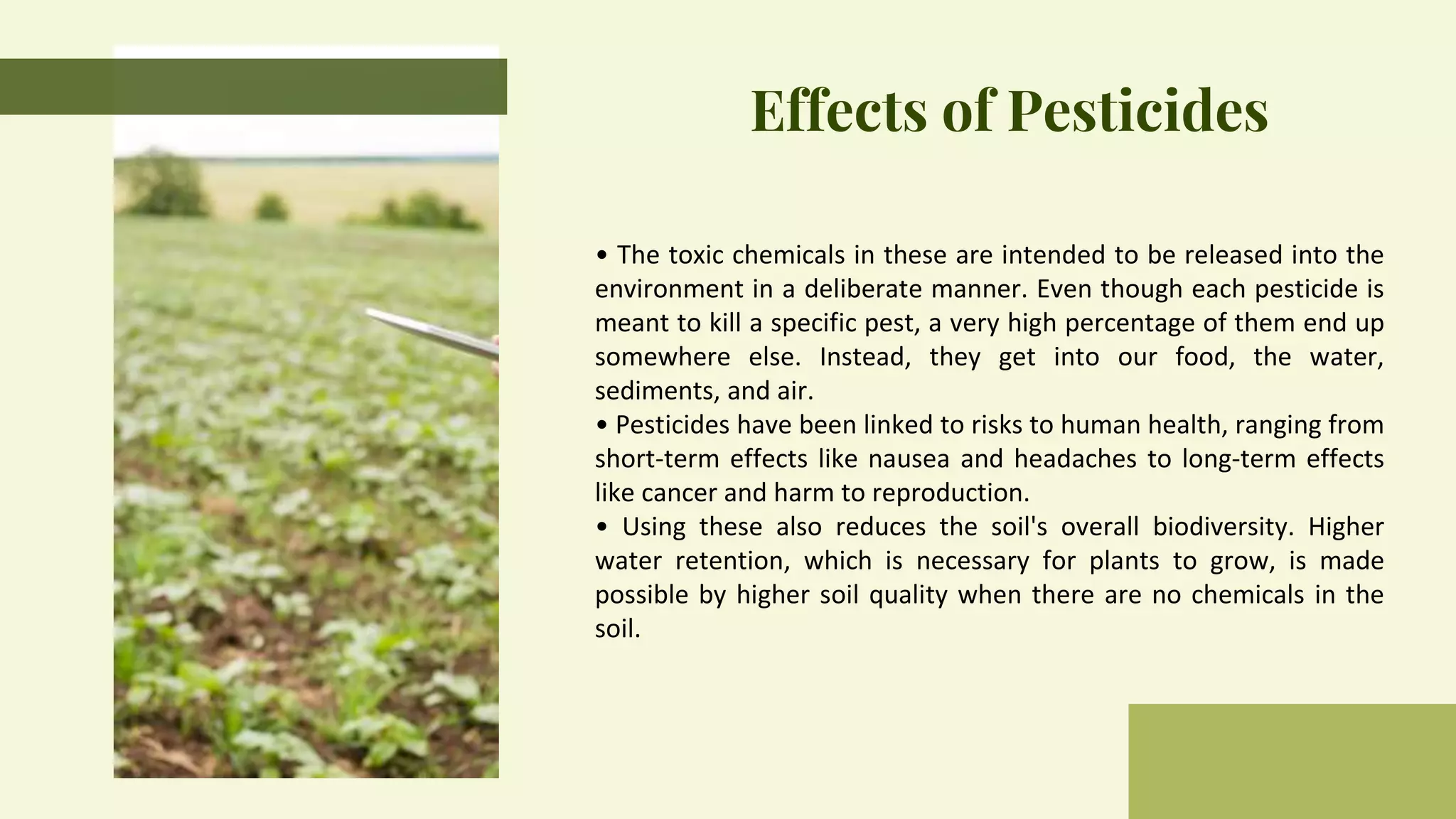 Harmful Effects of Pesticides in Fruits and Vegetables | PPTX