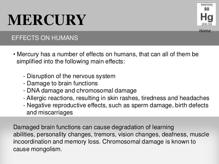 Mercury Effects On Humans