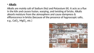 Harmful Ingredients of Bricks in details.pptx