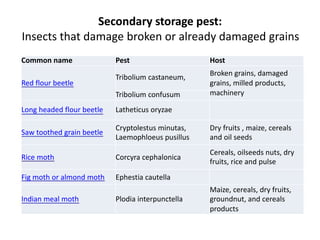Harmful insects | PPTX